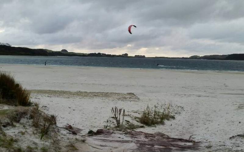 Taharoa Domain Campground (Pine Beach) | Freedom/Basic Camp | New Zealand